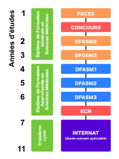 Médecine - Tutorats Santé